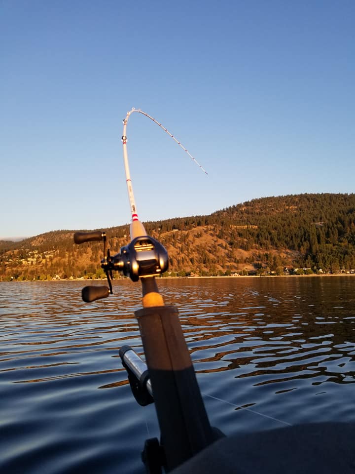 CONVENTIONAL GEAR – TW Outdoors