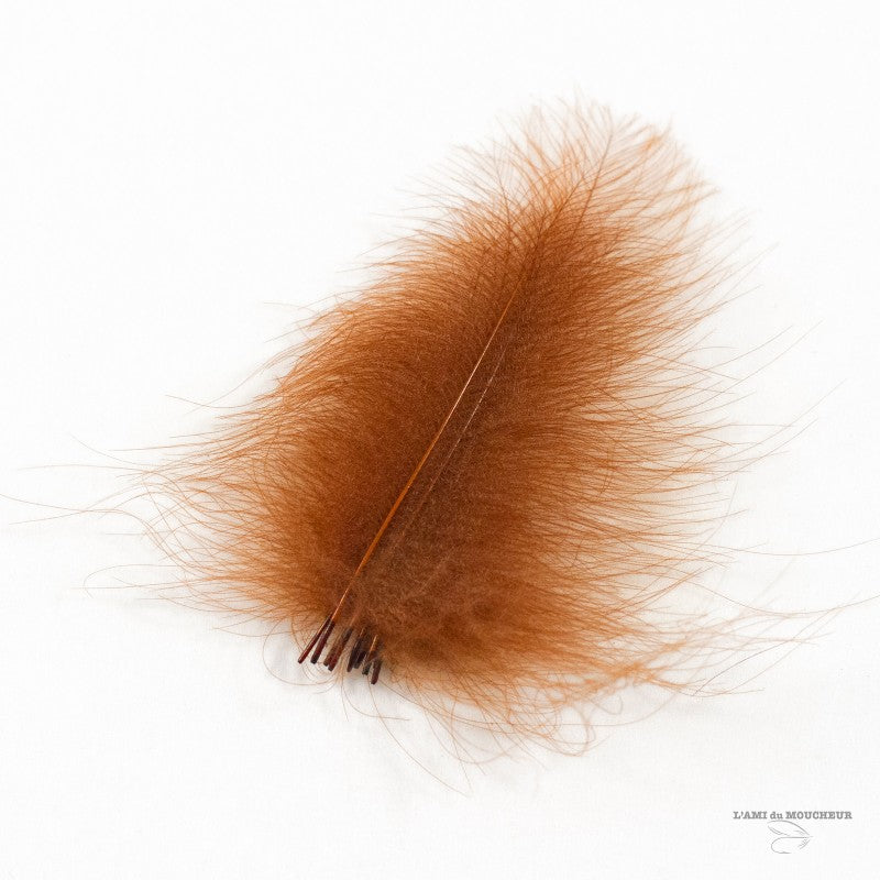 Shor Duck Oil Gland Feathers (CDC) [Shipping in Canada only] – TW Outdoors